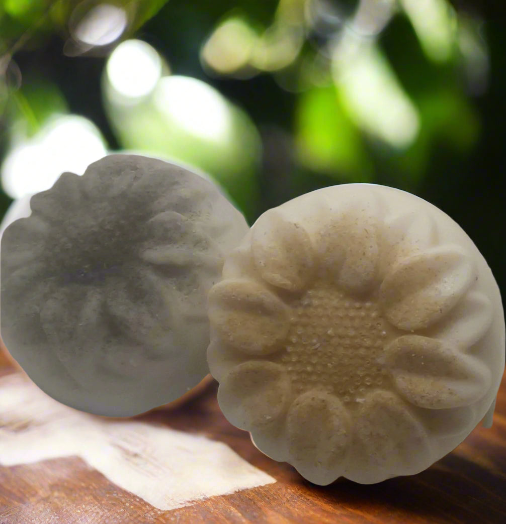 Solid Shampoo Bars, Vegan, SLS and SLES Free, No "Break In" Period ...